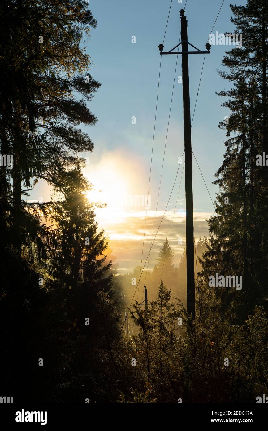 Powerlines woods hi-res stock photography and images - Alamy
