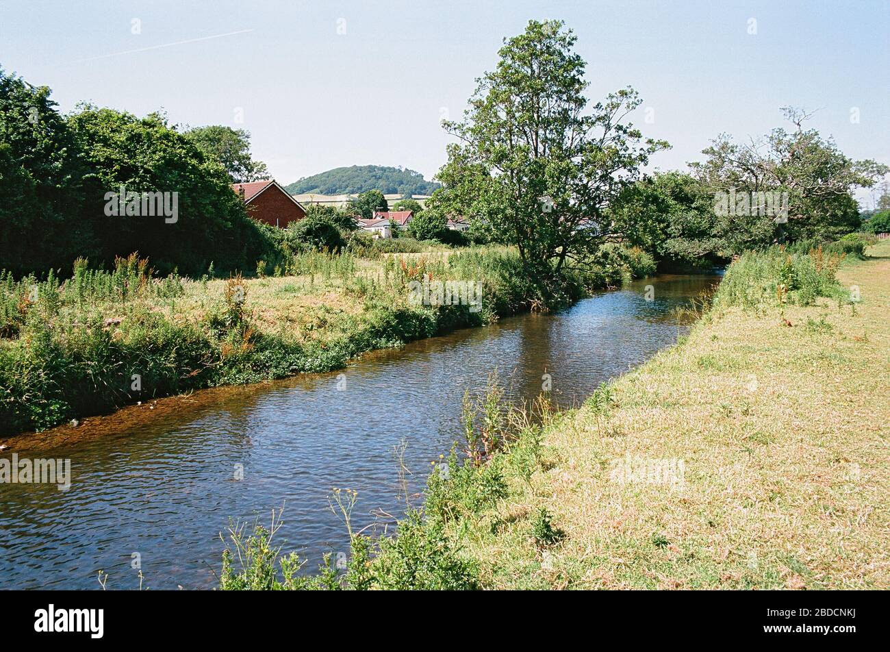 Devon flora and fauna hi-res stock photography and images - Alamy
