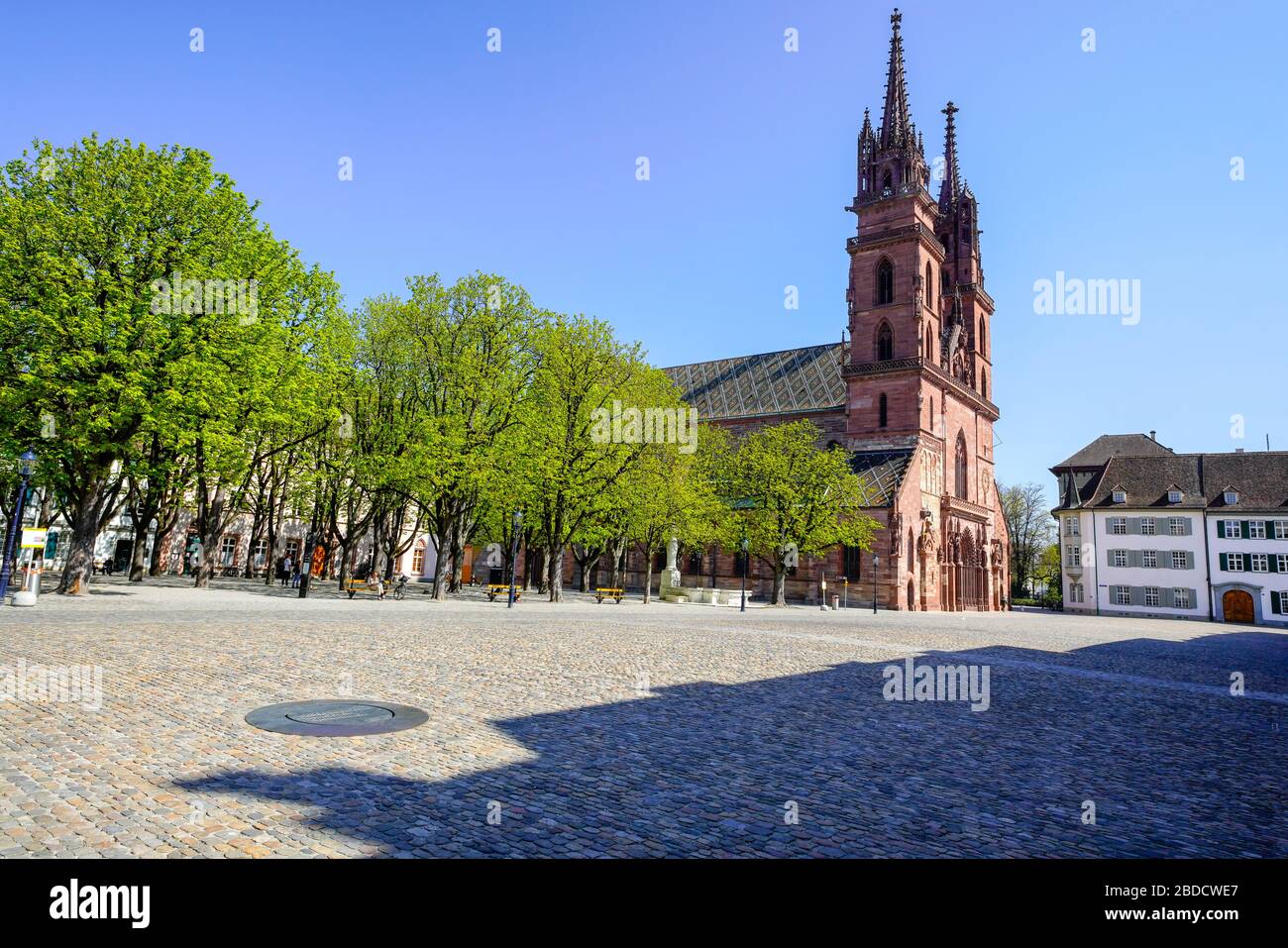 View on Basel Münster (cathedral), the famous landmark and tourist ...