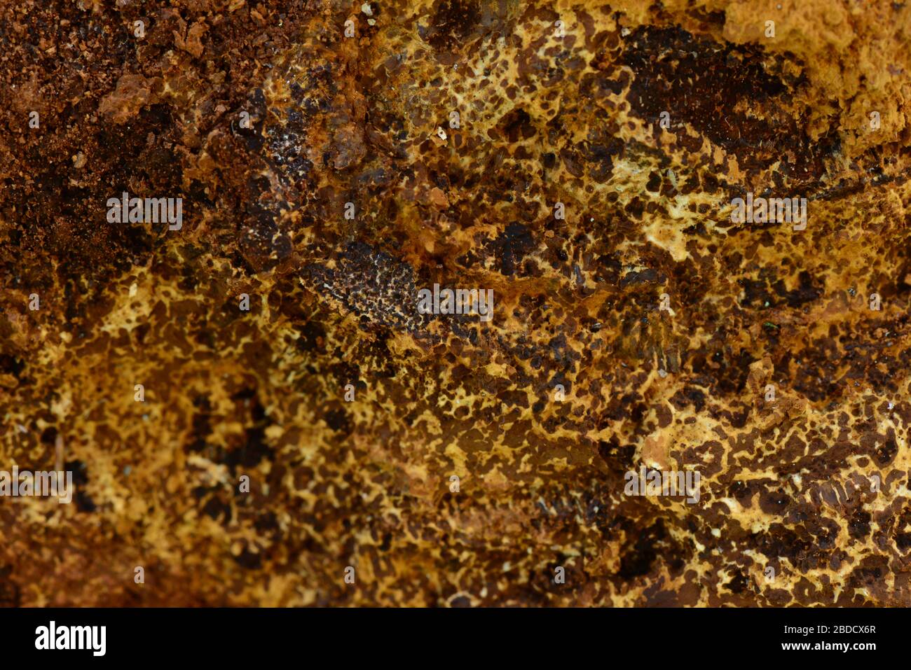 texture pattern fracture excrescence trunk tree birch Stock Photo - Alamy