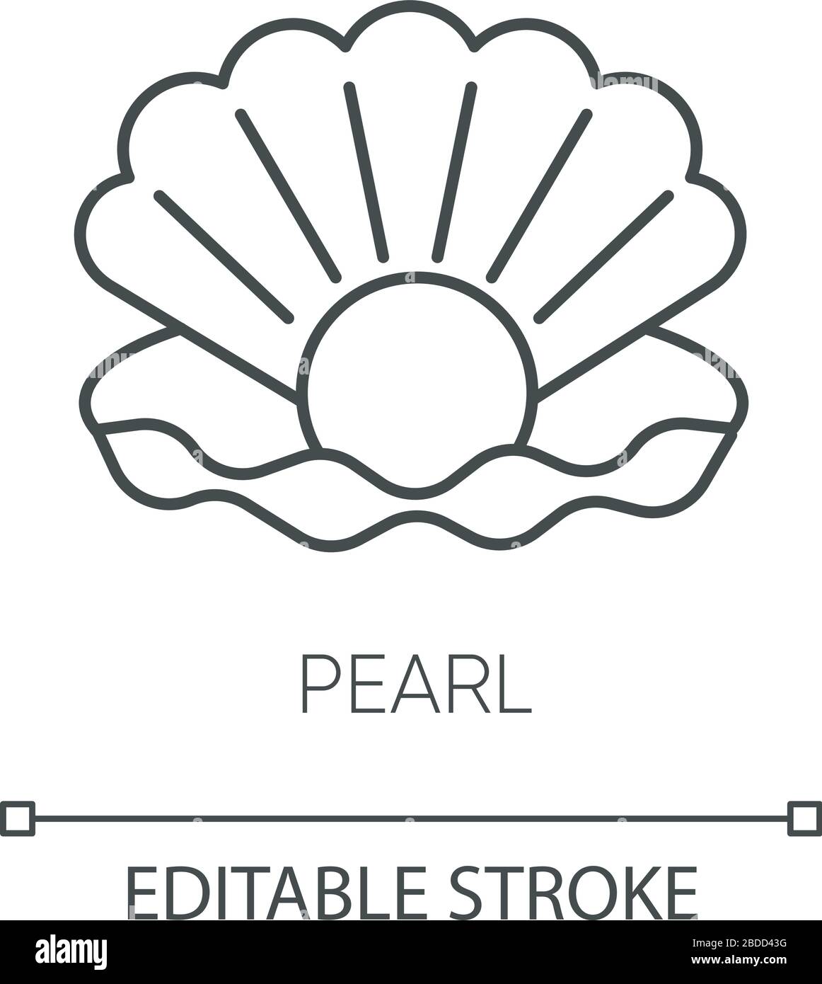 Sea shell pearl drawing Black and White Stock Photos & Images - Alamy