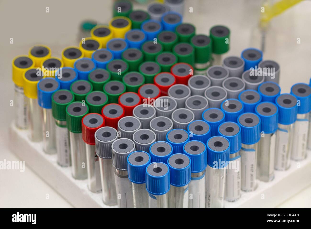 Scientist testing in the laboratory. Medical equipment Stock Photo - Alamy