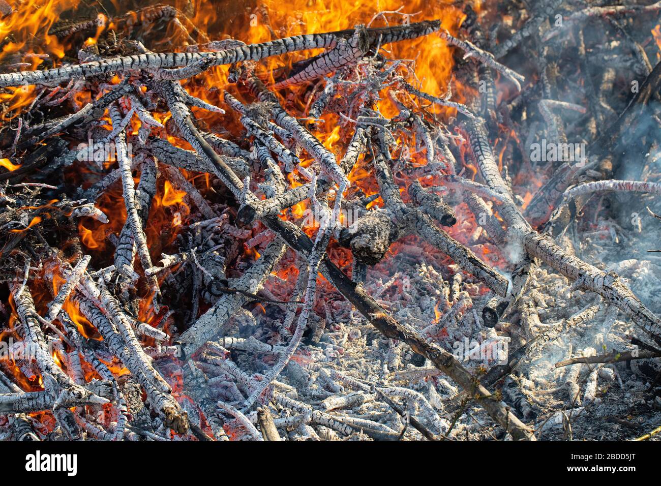Fire on the outskirts of the forest. High flames Stock Photo - Alamy