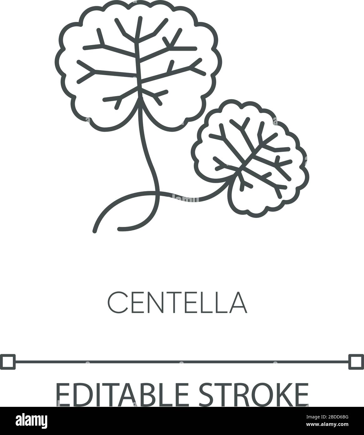 Centella pixel perfect linear icon. Herbal component. Natural skincare ...