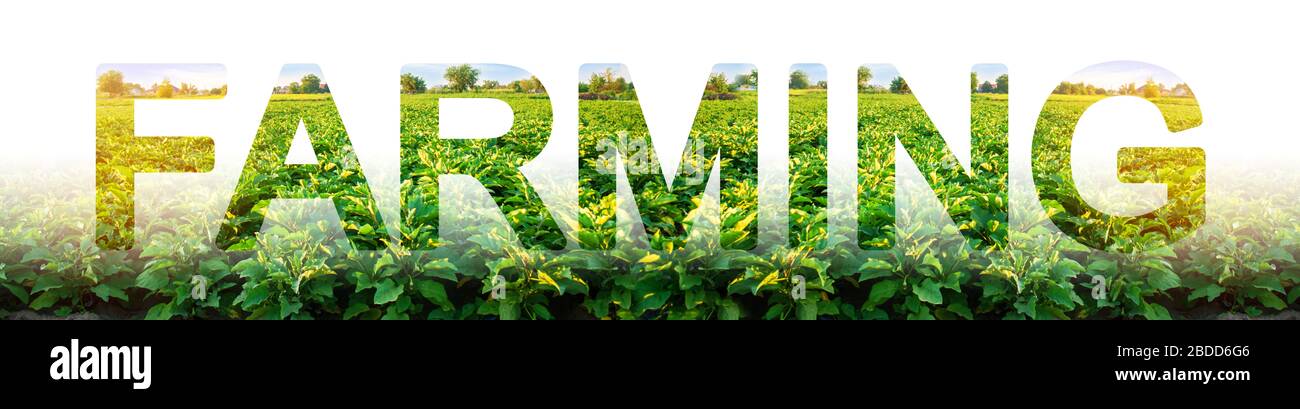 Word Farming on background of field plantation. Agroindustry and ...