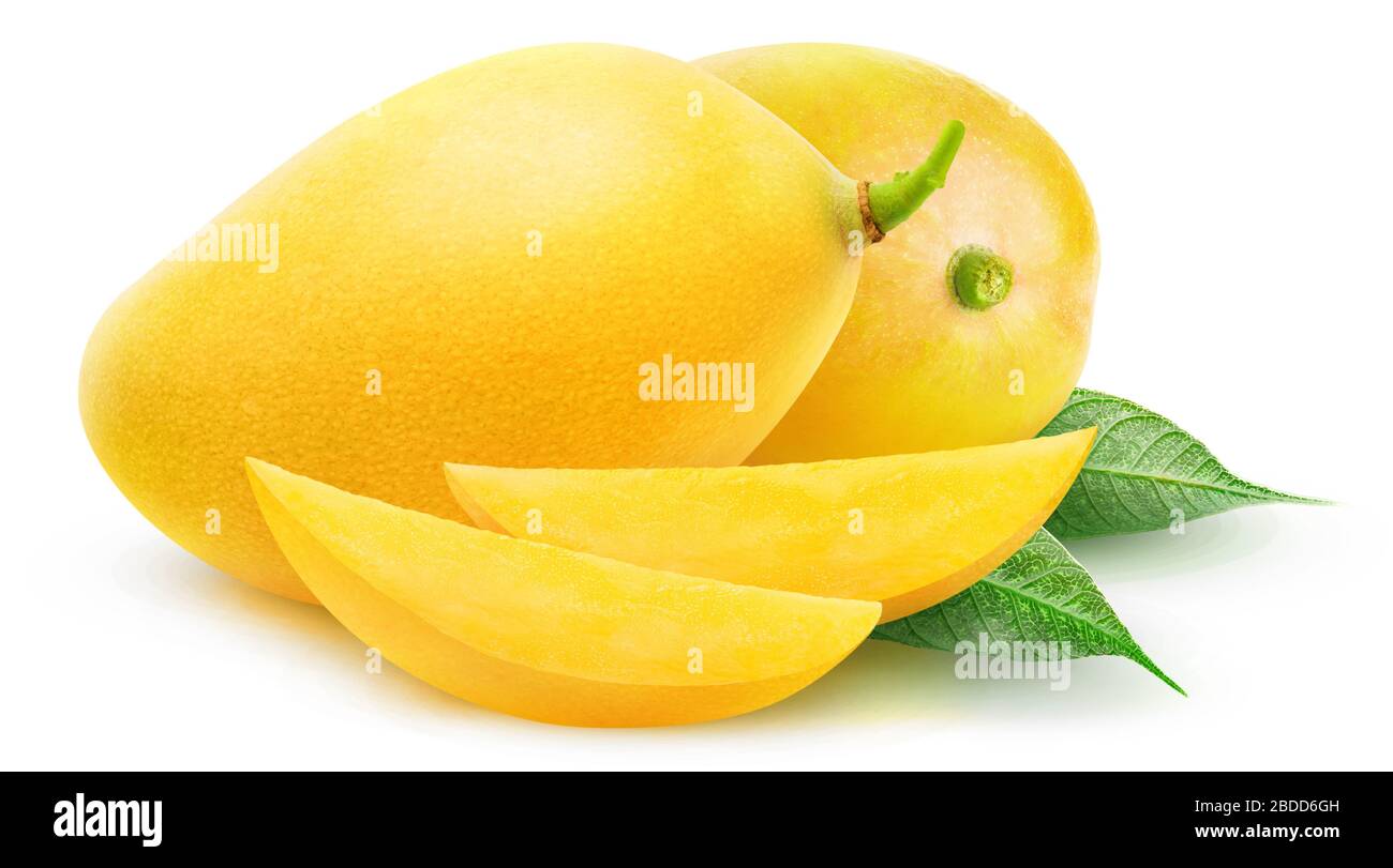 Isolated yellow mangoes. Two mango fruits and slices isolated on white ...