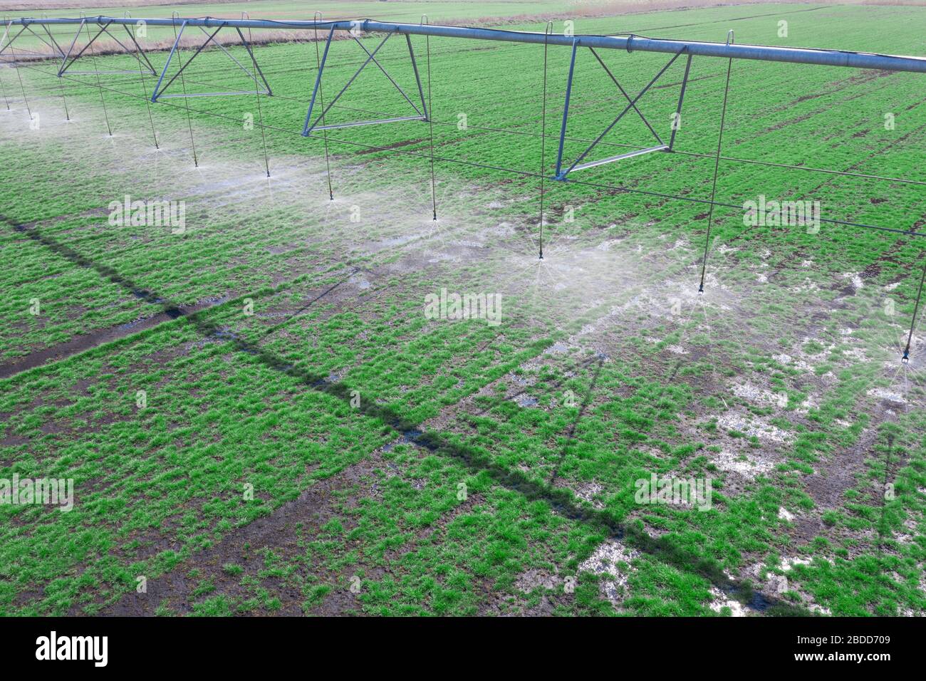 Automated irrigation system hi-res stock photography and images - Alamy