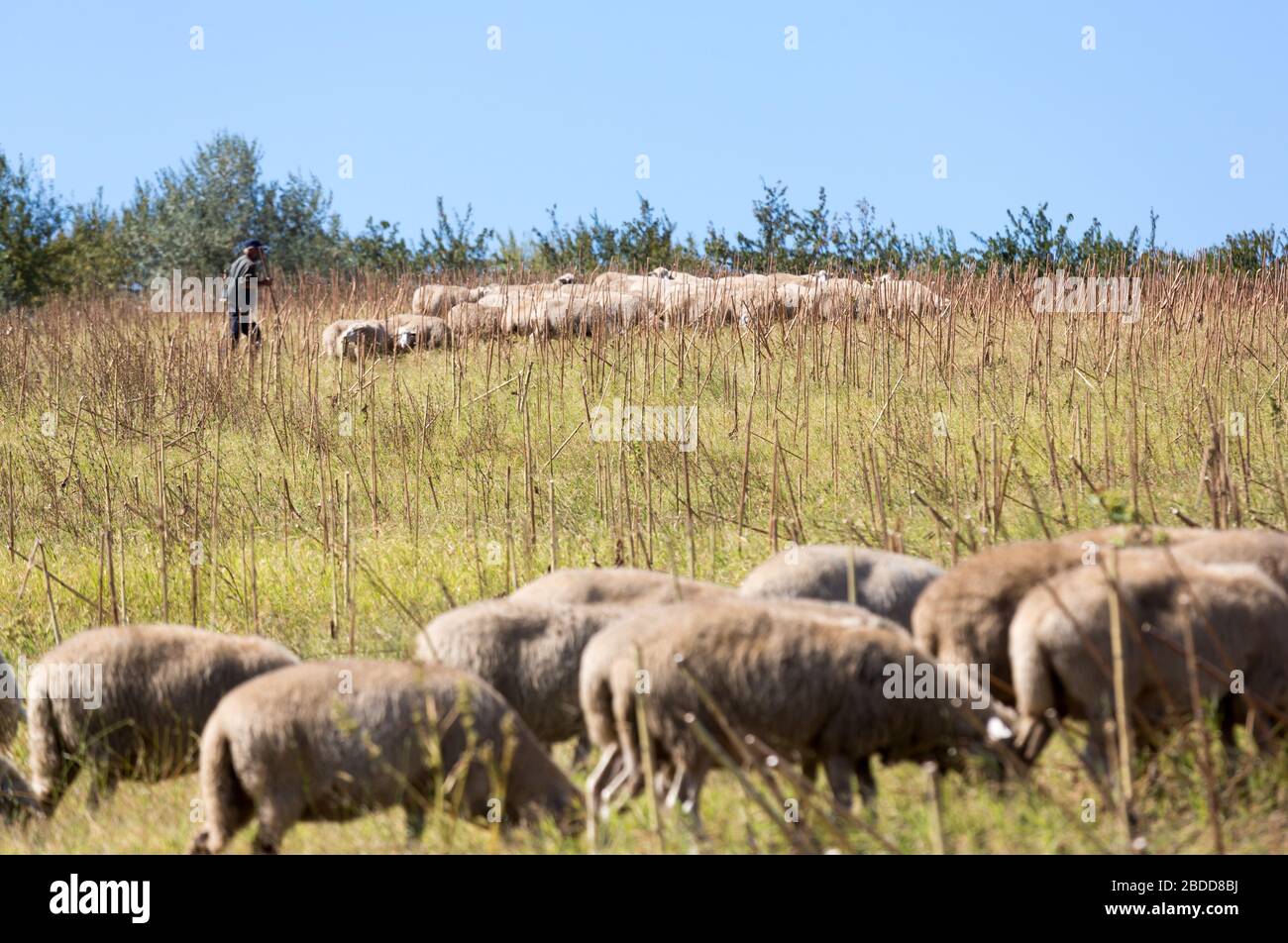 Taraclia High Resolution Stock Photography and Images - Alamy