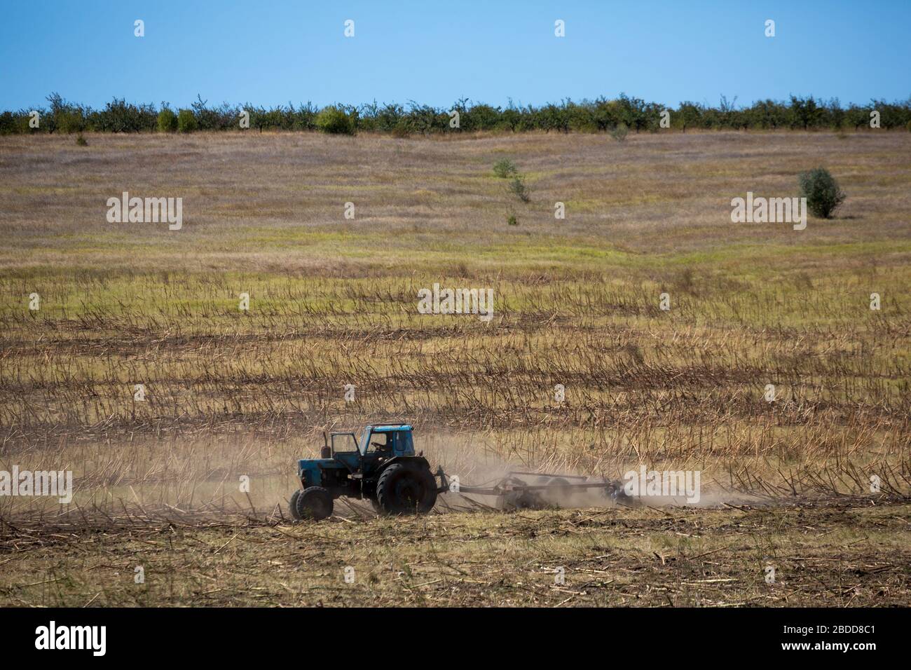 Taraclia hi-res stock photography and images - Alamy