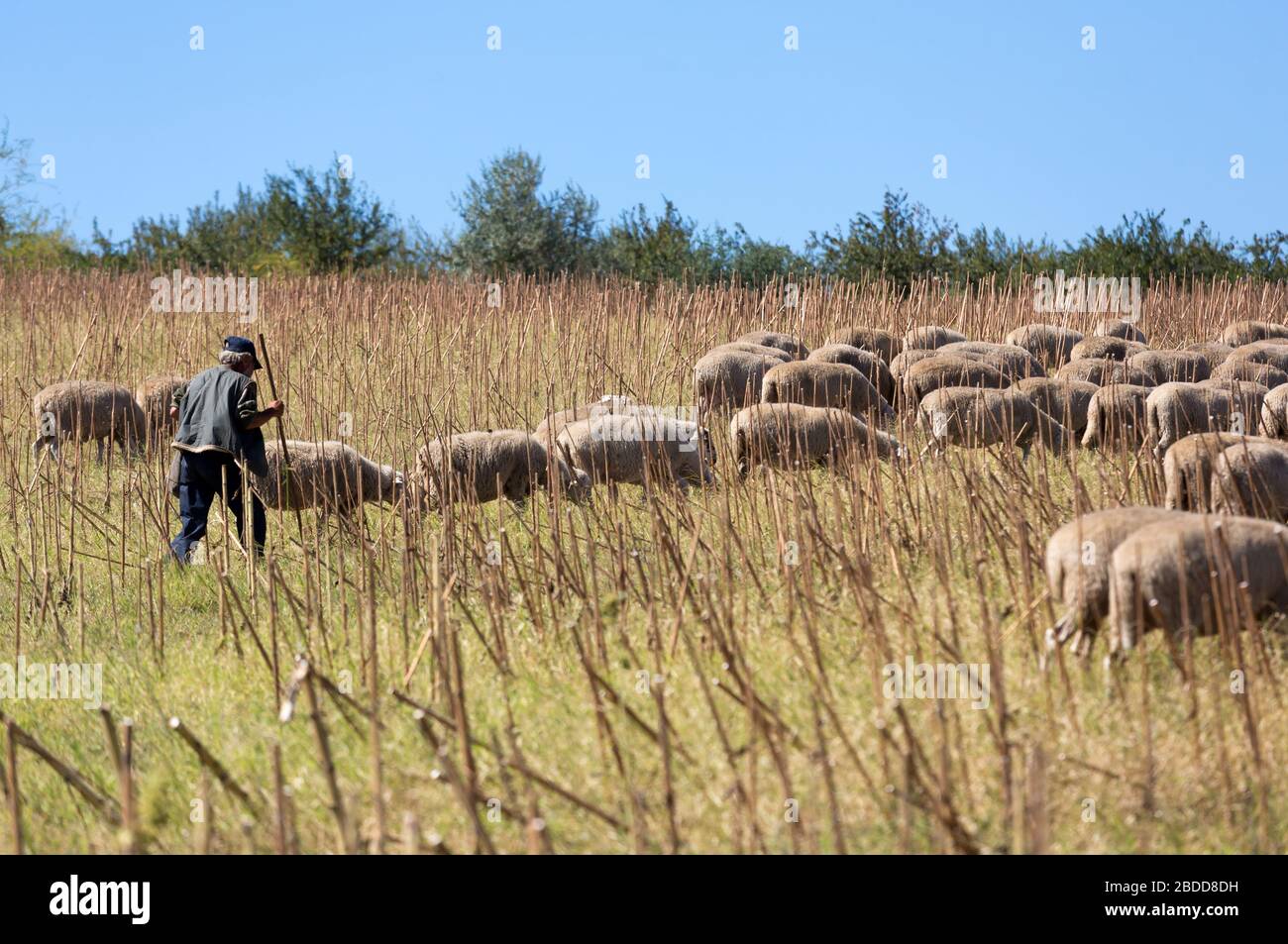 Taraclia High Resolution Stock Photography and Images - Alamy