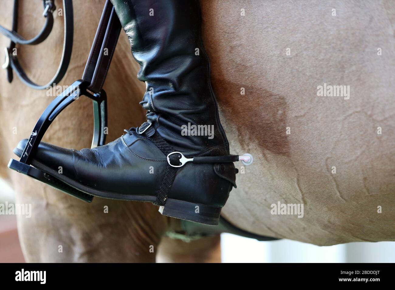 Riding boot stirrup spur hi-res stock photography and images - Alamy