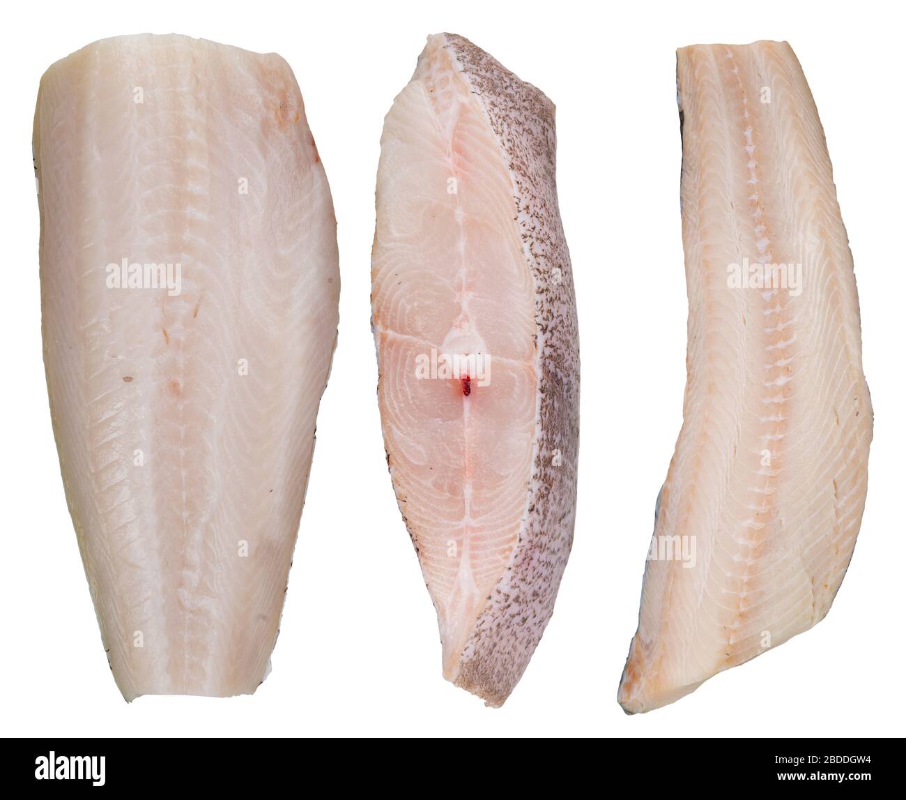 Set of fresh fish fillet slices isolated on white. Healthy seafood ...