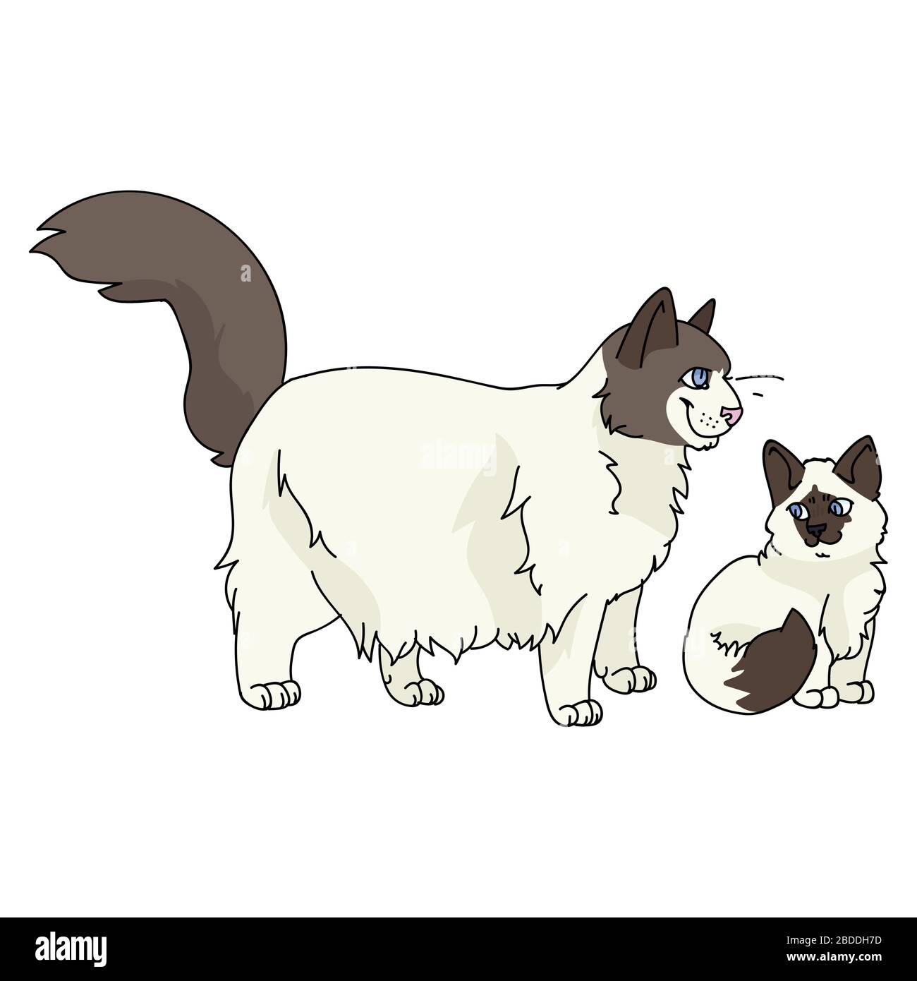 Cute cartoon ragdoll cat and kitten vector clipart. Pedigree kitty ...
