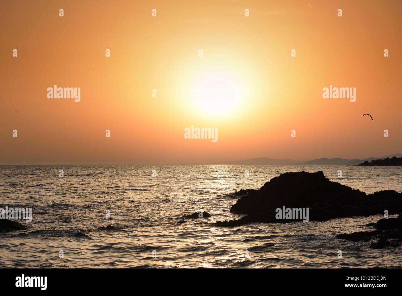 Summer sea sunset hi-res stock photography and images - Alamy