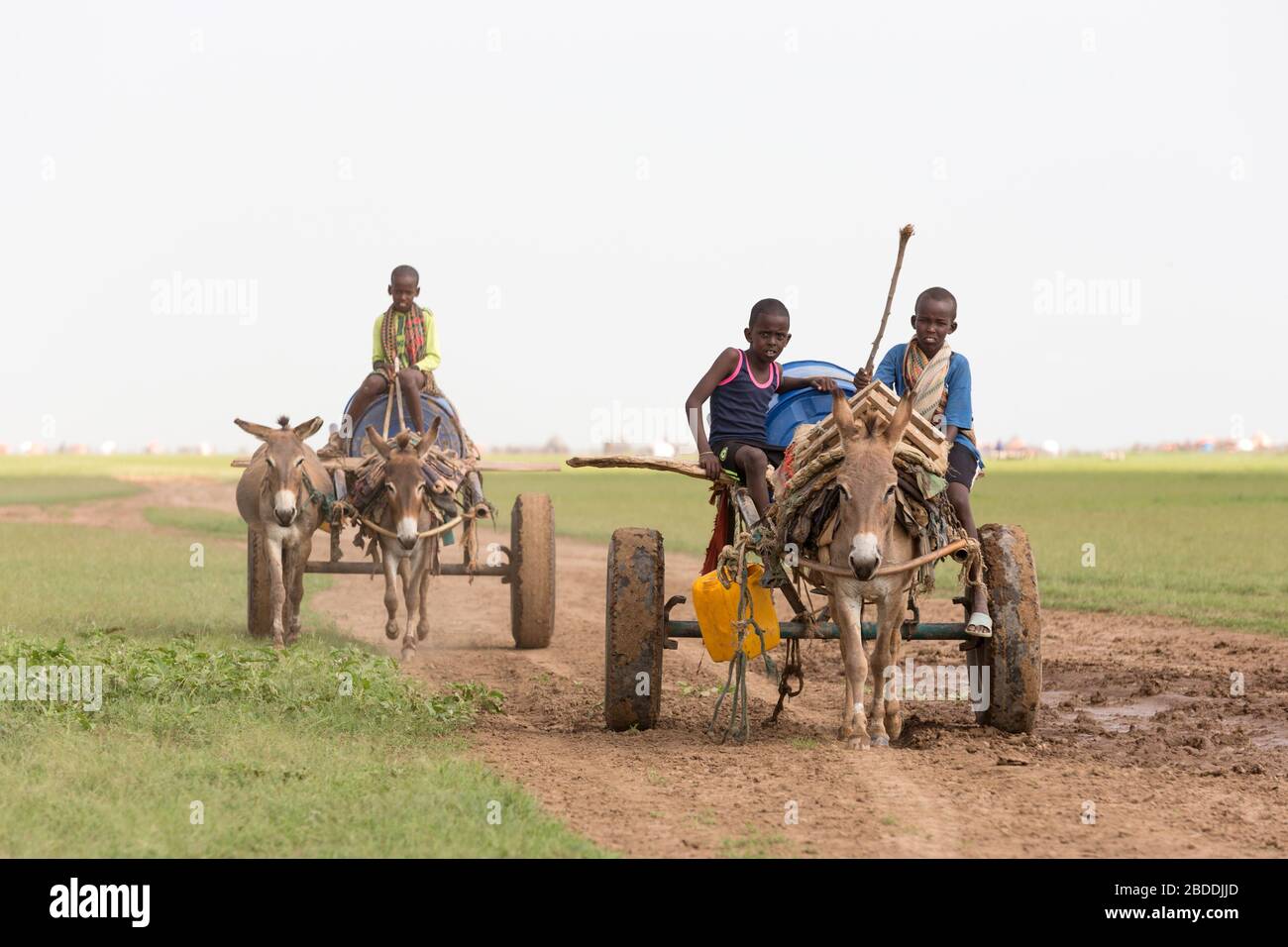 Donkey carts africa hi-res stock photography and images - Alamy