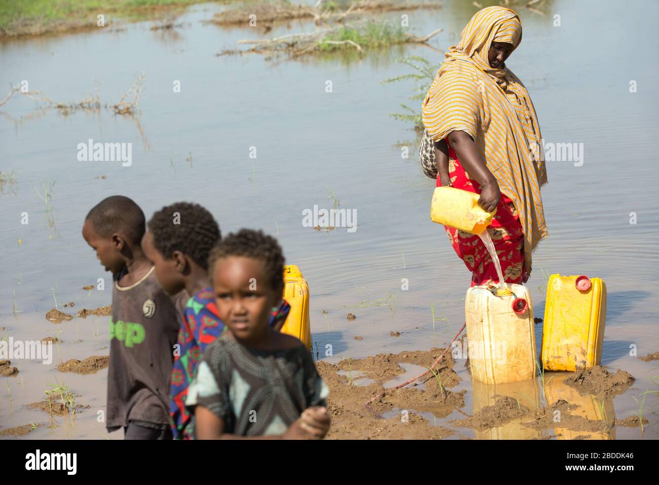 14.11.2019, Gode, Somali Region, Ethiopia - A woman scoops water from a ...