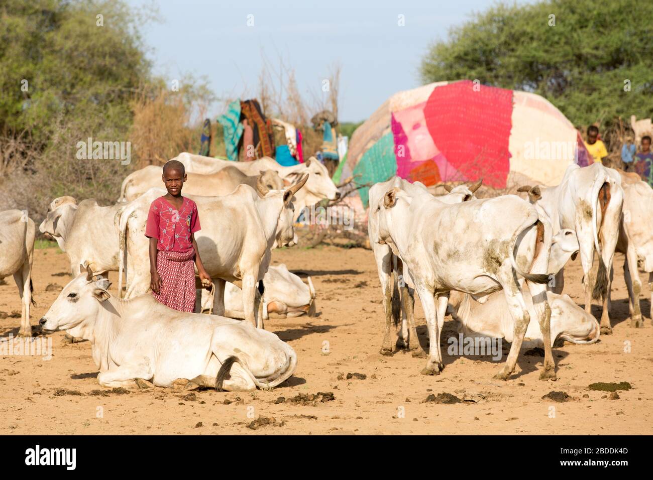 Somali boy hi-res stock photography and images - Alamy