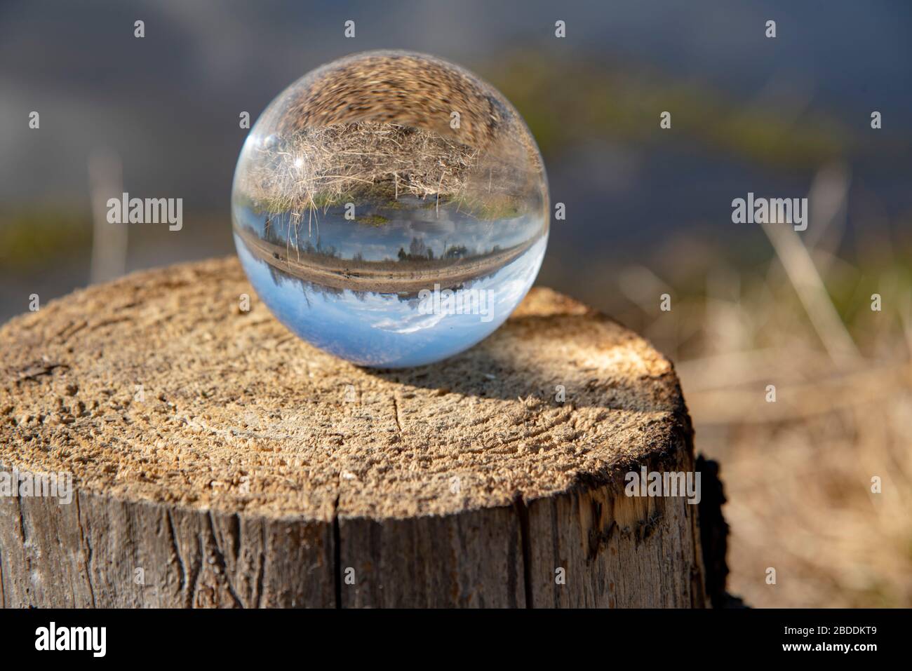 Inverted image effect hi-res stock photography and images - Alamy