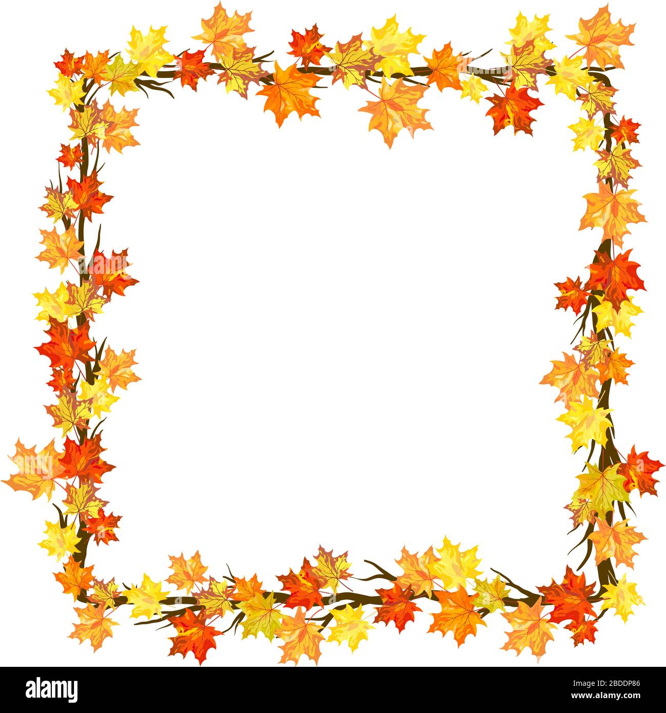 Autumn Frame With Maple Leaves on Branches of Tree Over White ...