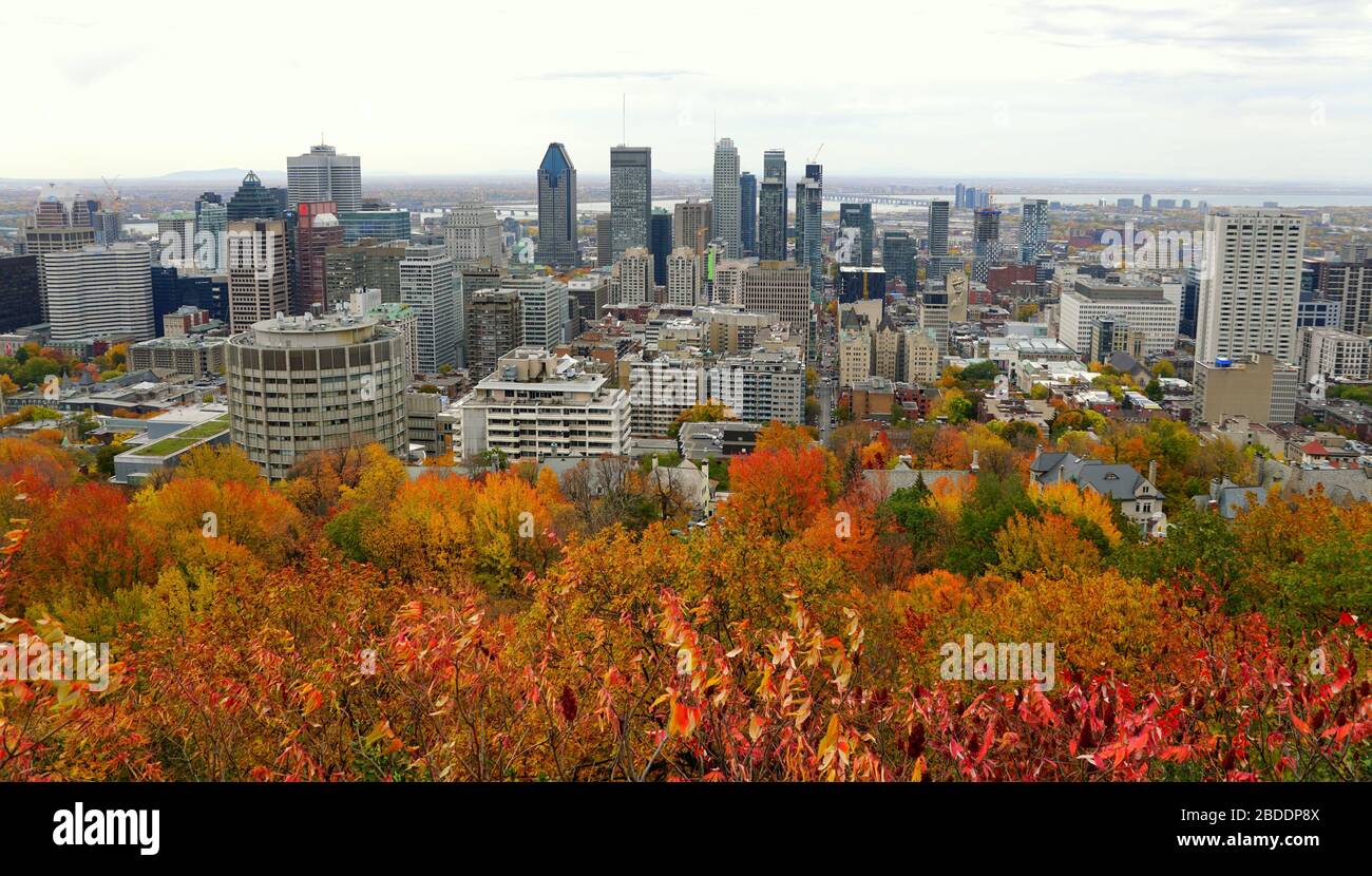 Montreal, Canada - October 25, 2019 - The view of the skyscrapers in ...