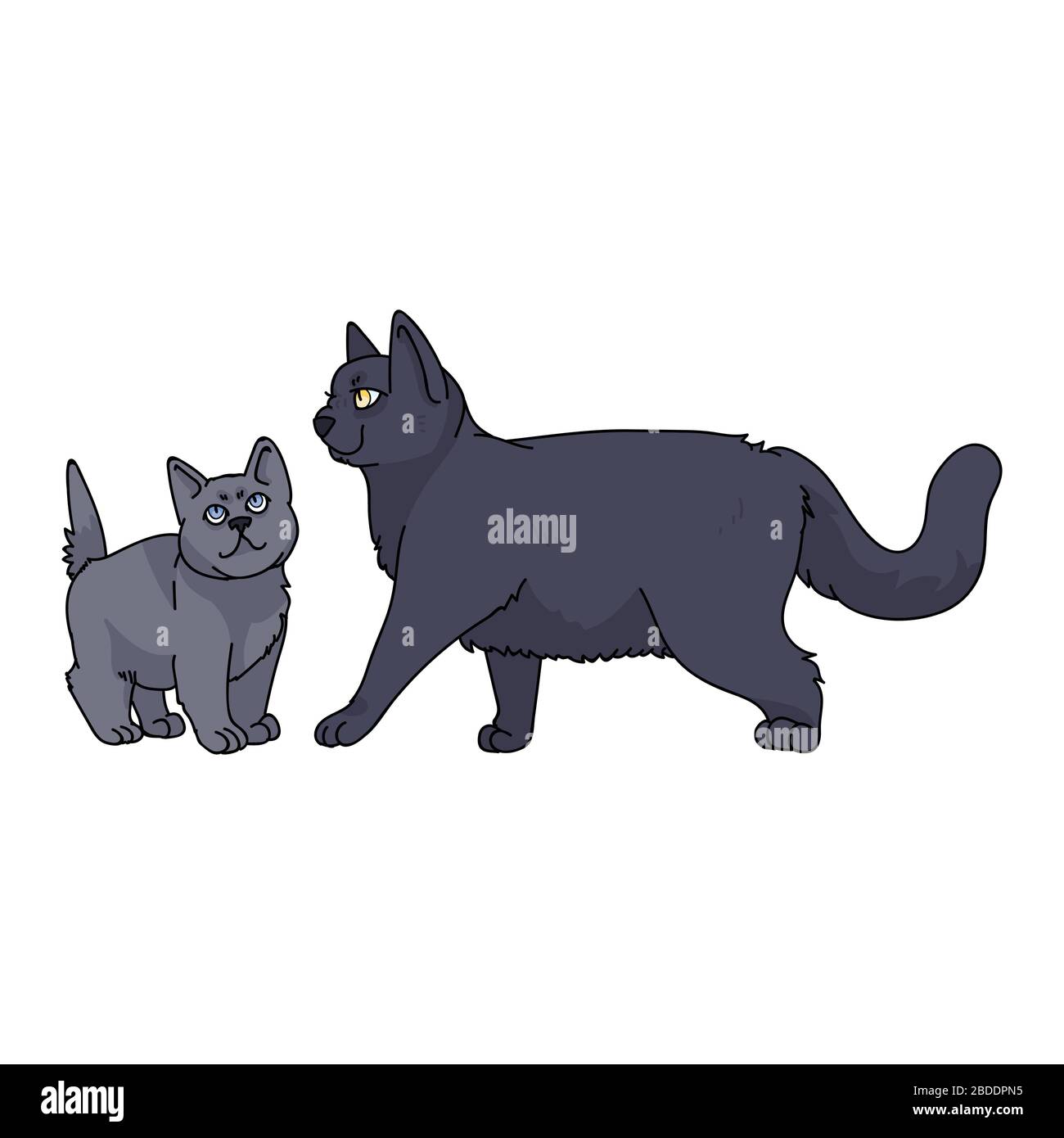 Cute cartoon British shorthair cat and kitten vector clipart. Pedigree ...