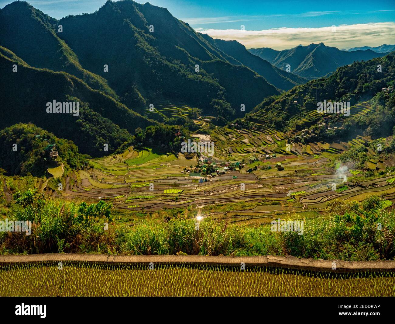 Rice Terraces of Batad Stock Photo - Alamy
