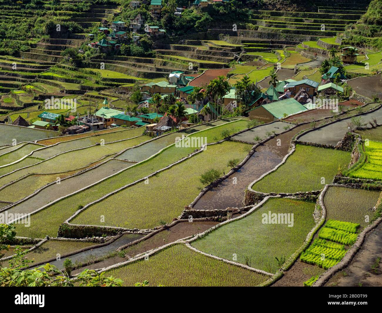 Batad Village, Philippines Stock Photo - Alamy
