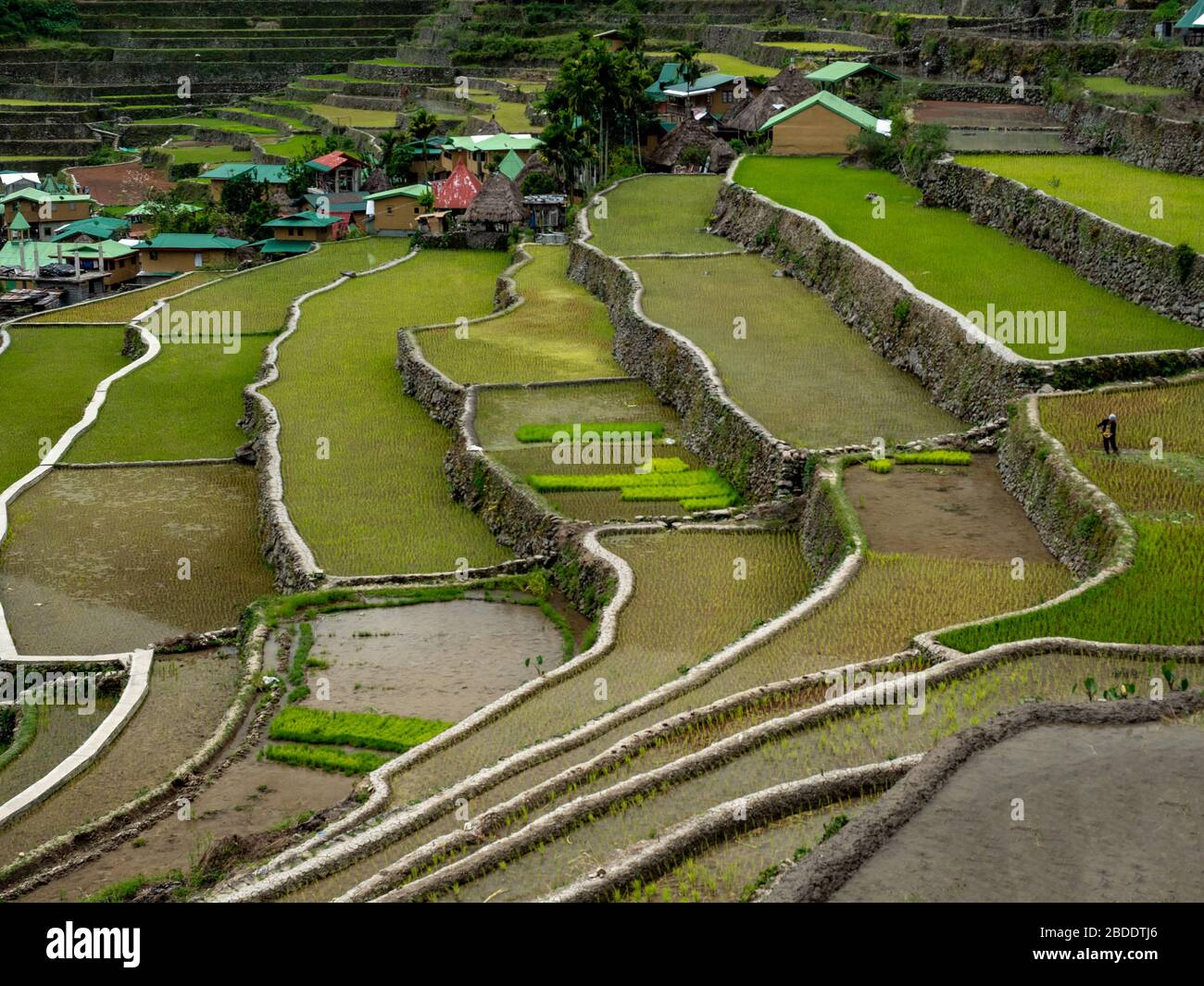 Rice Terraces and town of Batad, Philippines Stock Photo - Alamy