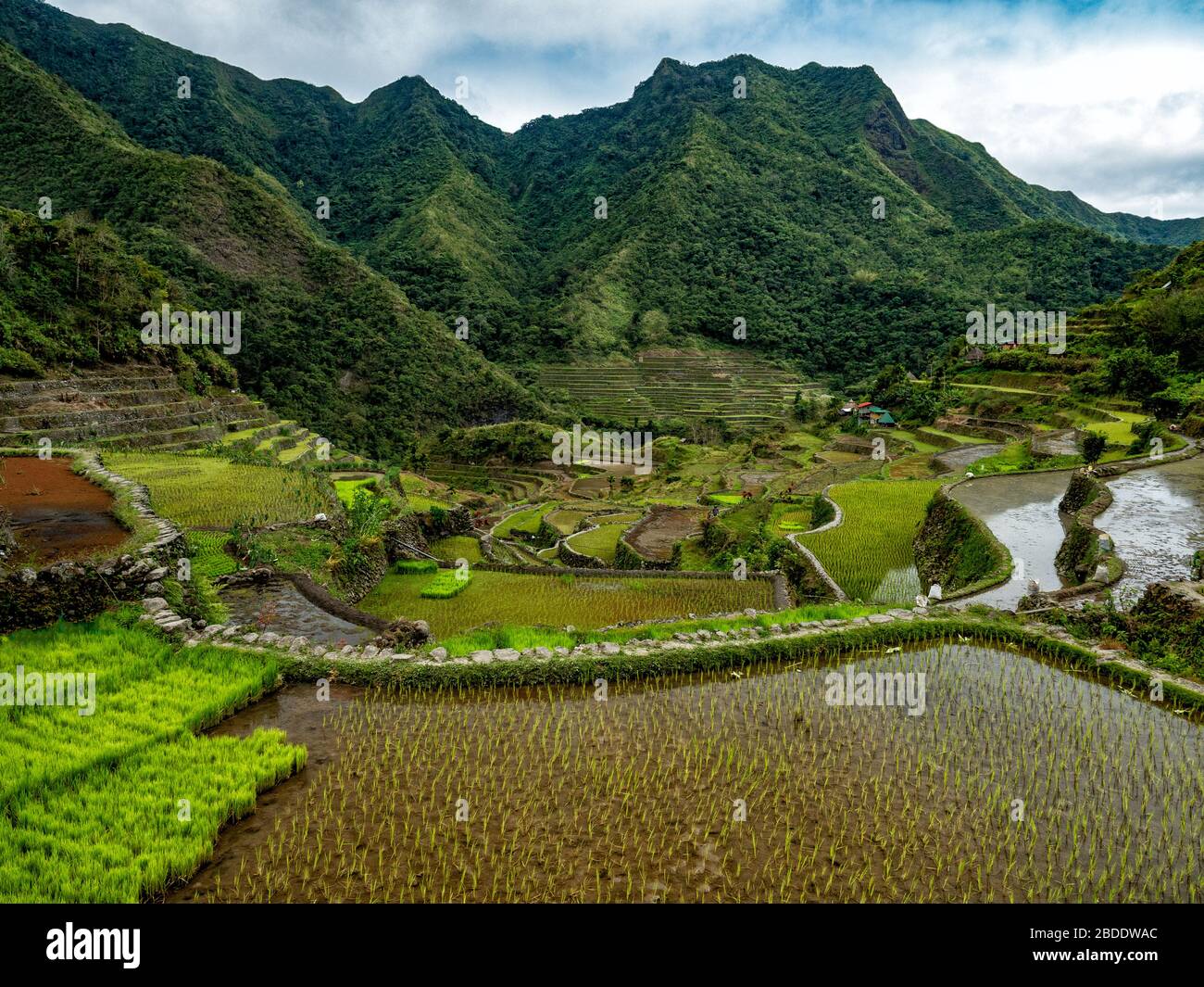 North luzon philippines rice terrace hi-res stock photography and ...