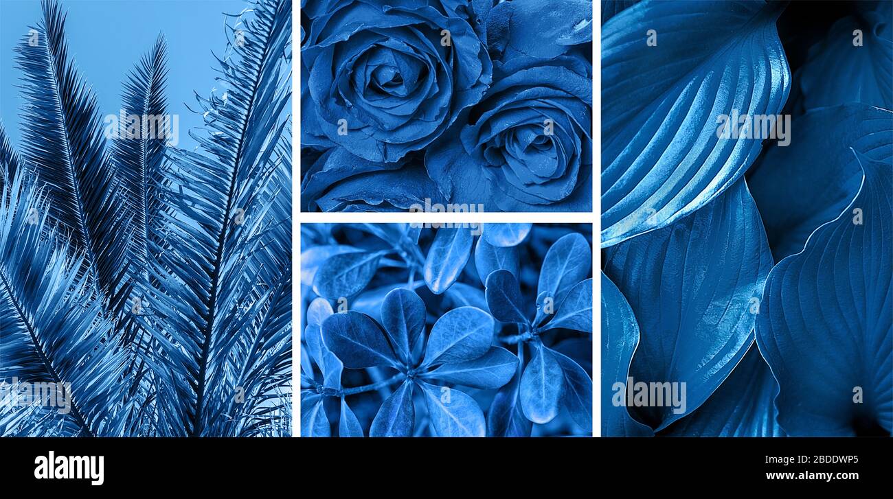 Collage with different images toned in Classic Blue color - colot of ...