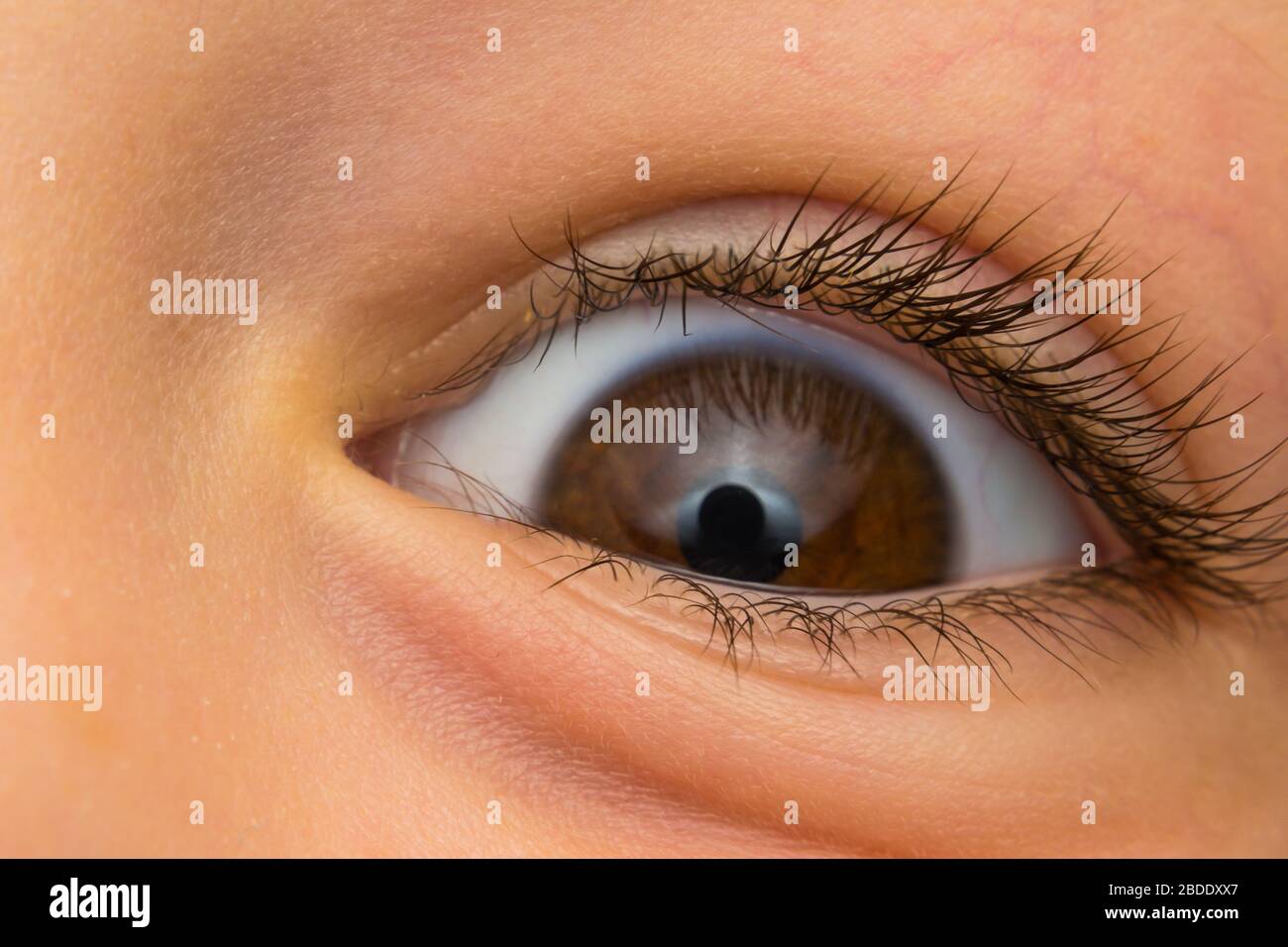 close-up photo of a kid eye Stock Photo - Alamy