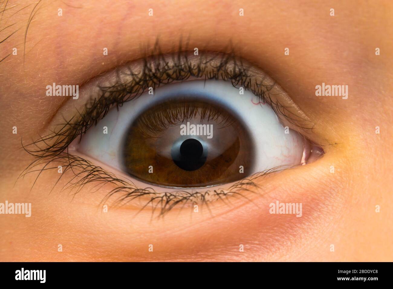 close-up photo of a kid eye Stock Photo - Alamy