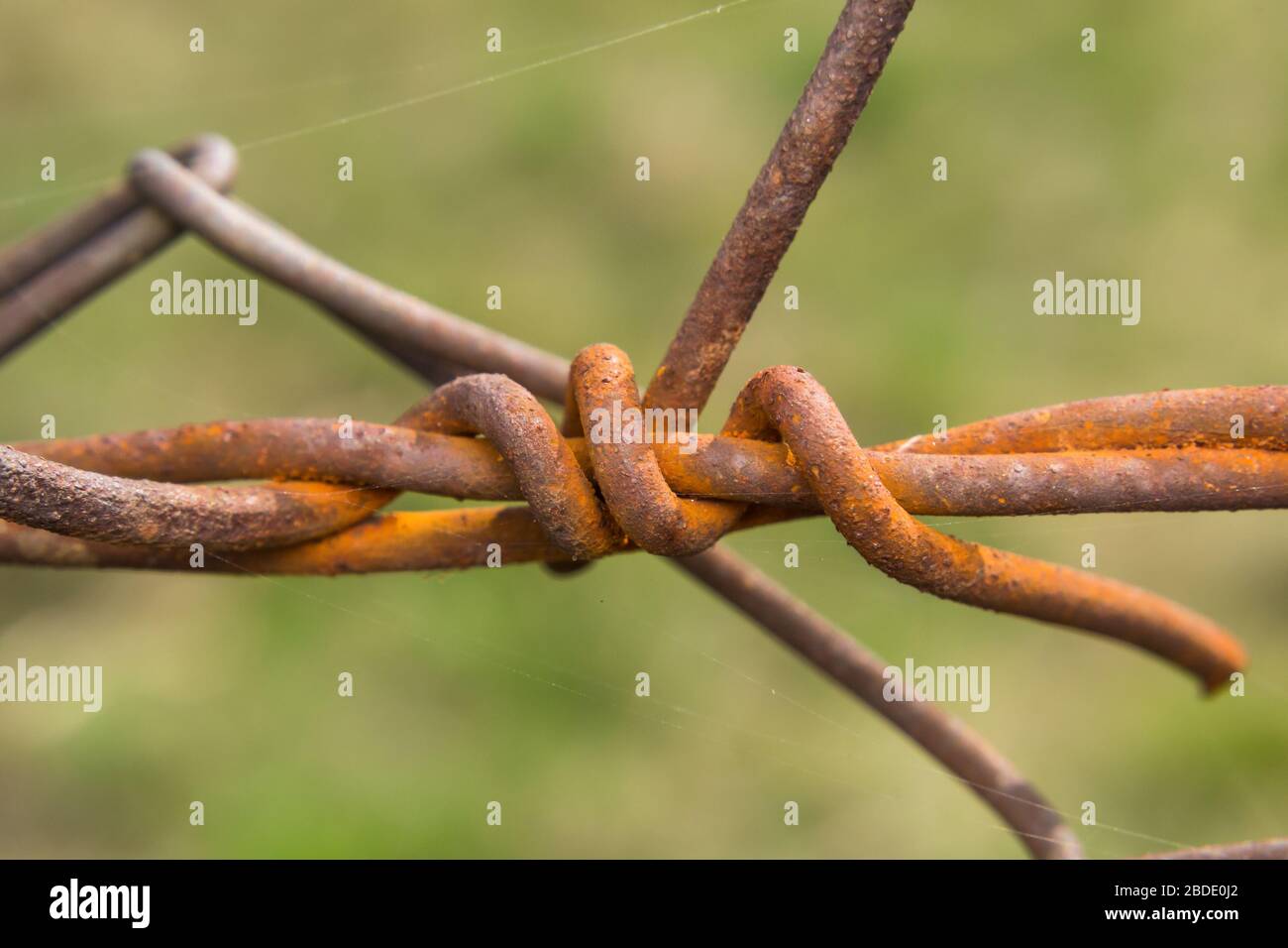 close-up photo of a rusty wire Stock Photo - Alamy