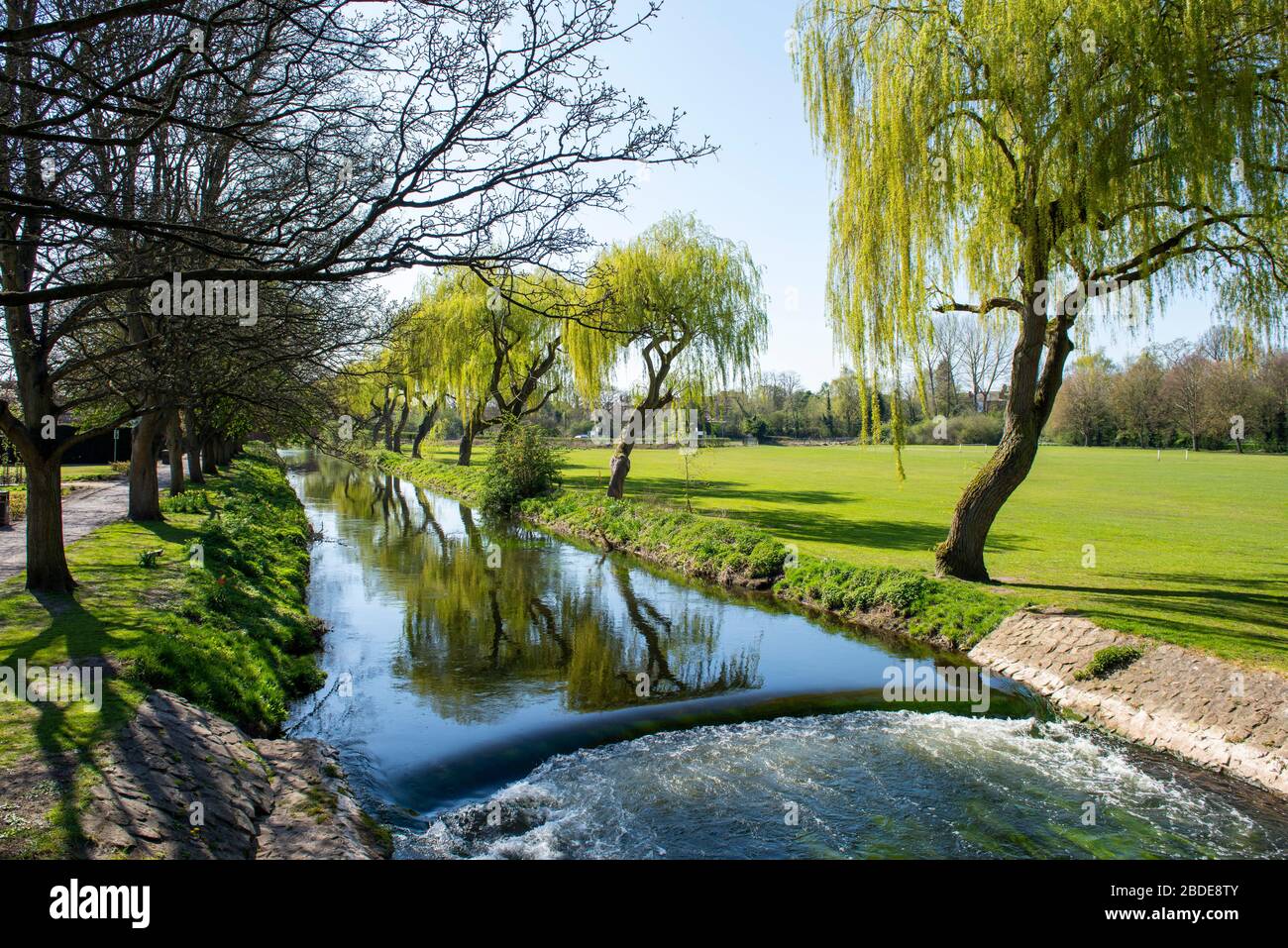 Spring day at Kings Park Retford, captured during the Covid-19 lockdown ...
