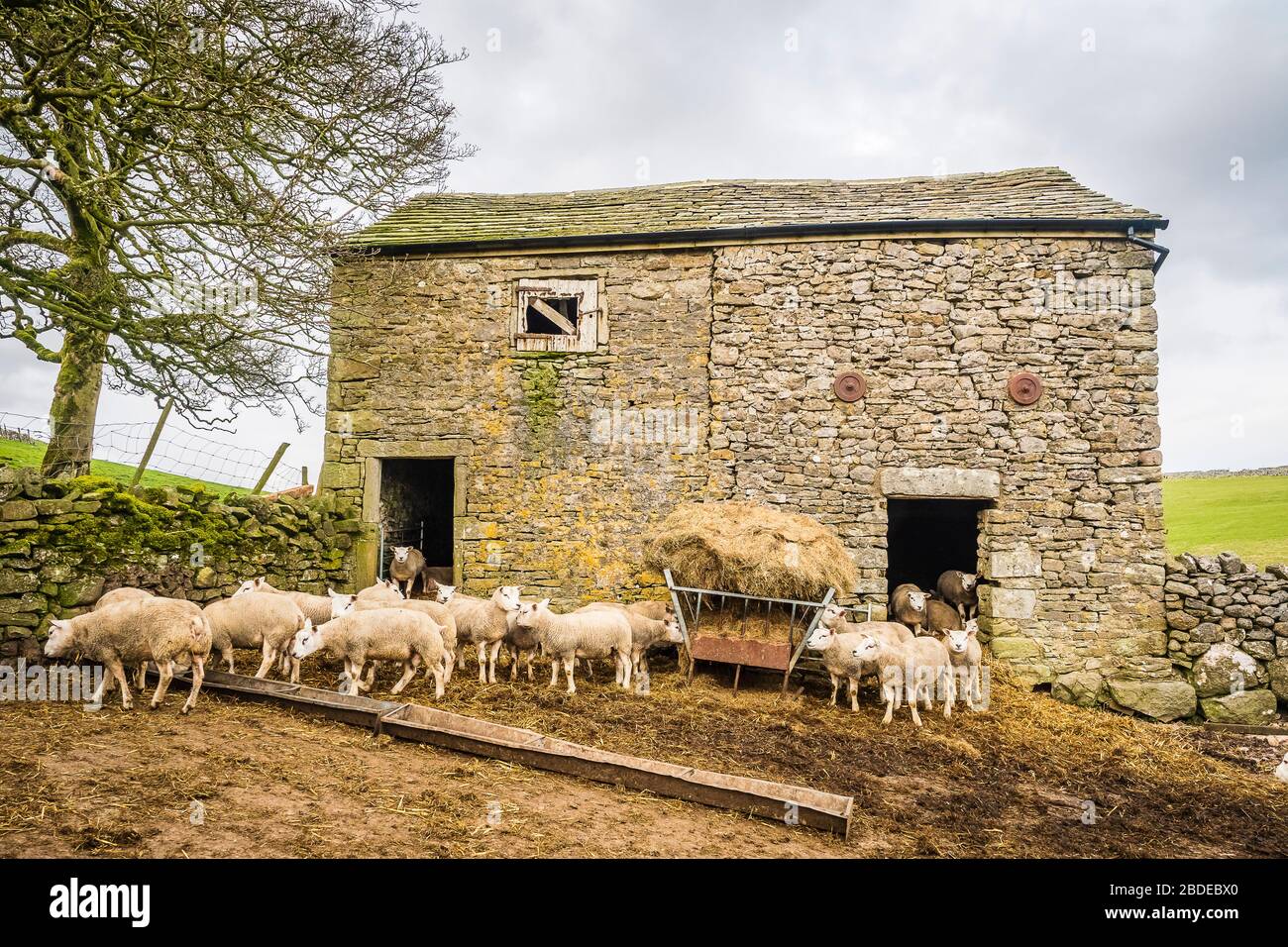 Mastiles lane green lane limestone hi-res stock photography and images ...