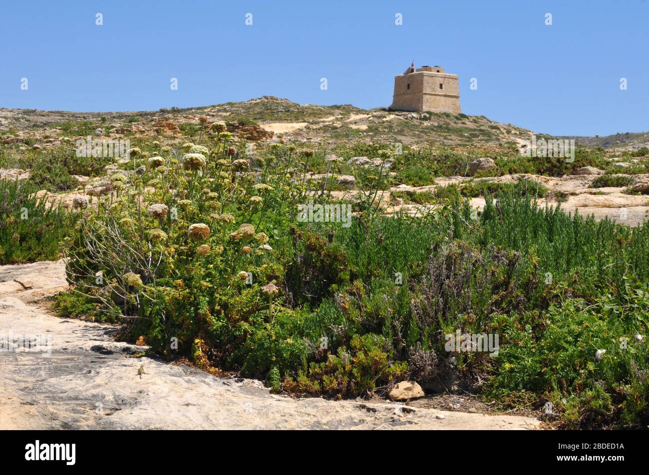 Dwejra tower in gozo hi-res stock photography and images - Alamy