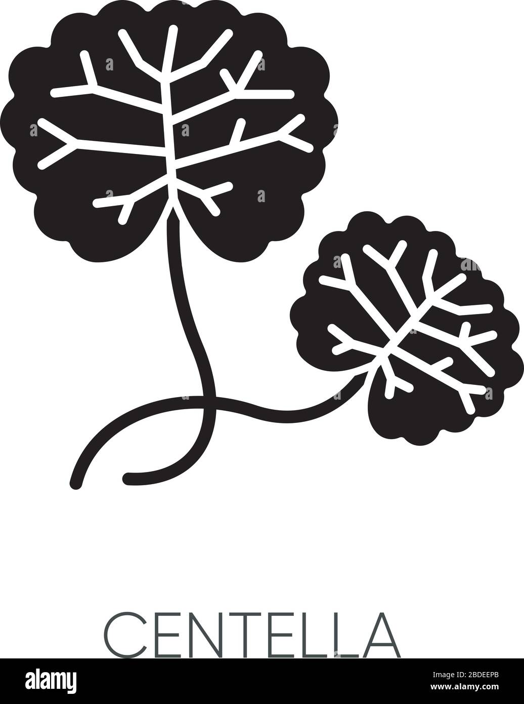 Centella extract Black and White Stock Photos & Images - Alamy