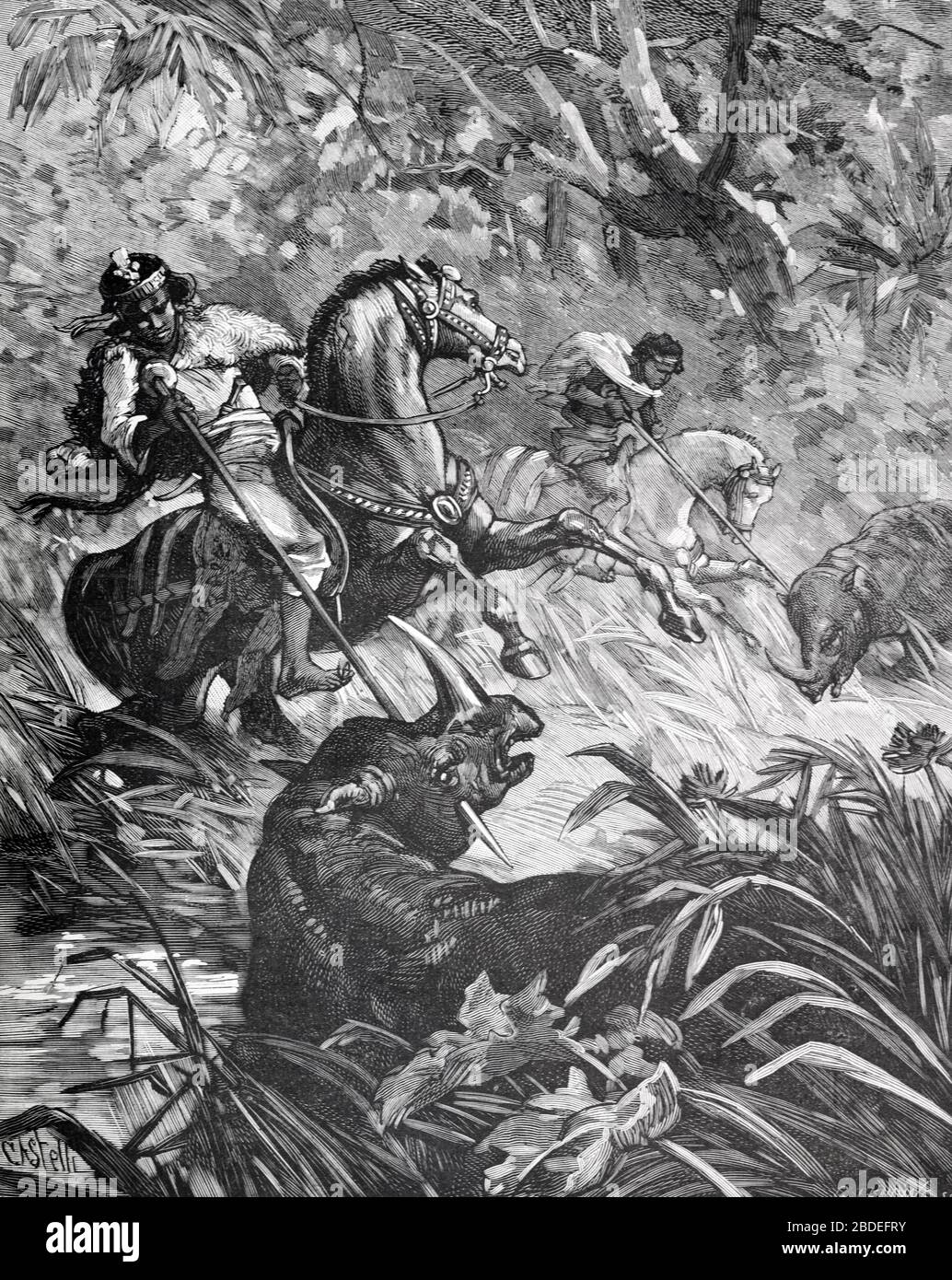 Rhino or Rhinoceros Hunt in Abyssinia, now Ethiopia. Vintage or Old ...