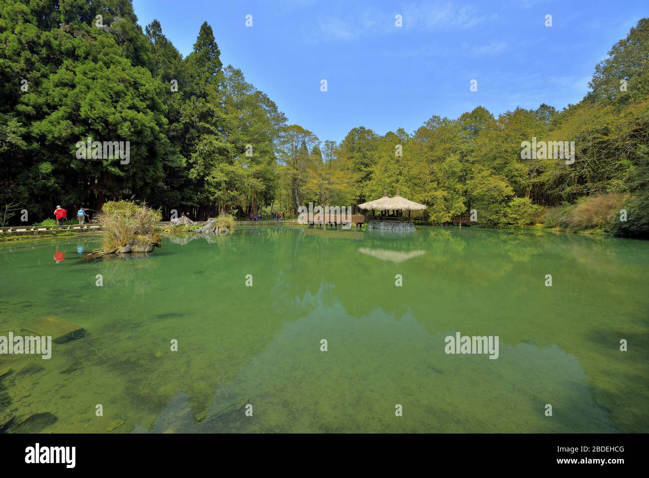 Alishan national scenic area hi-res stock photography and images - Alamy