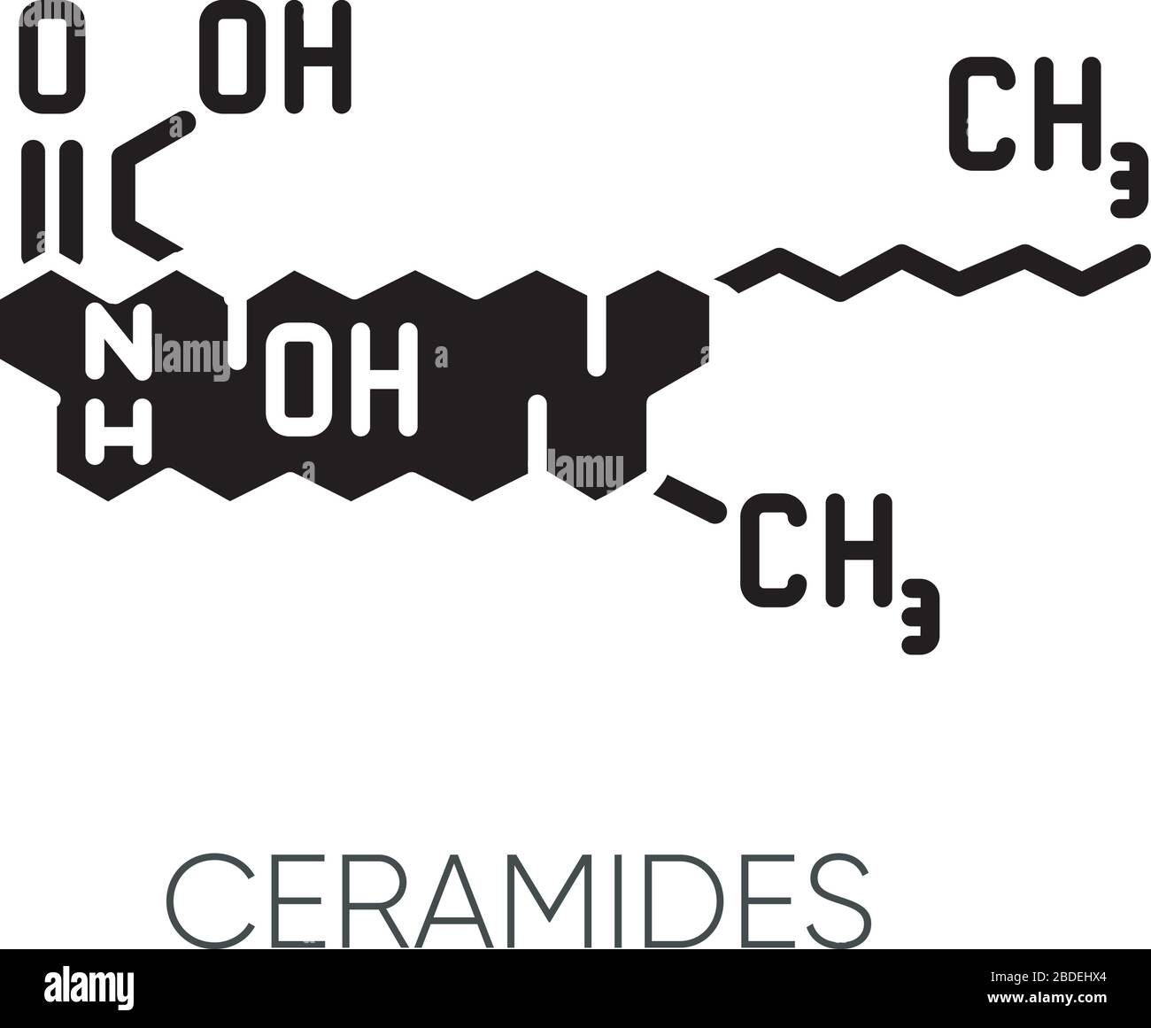 Ceramide Structure