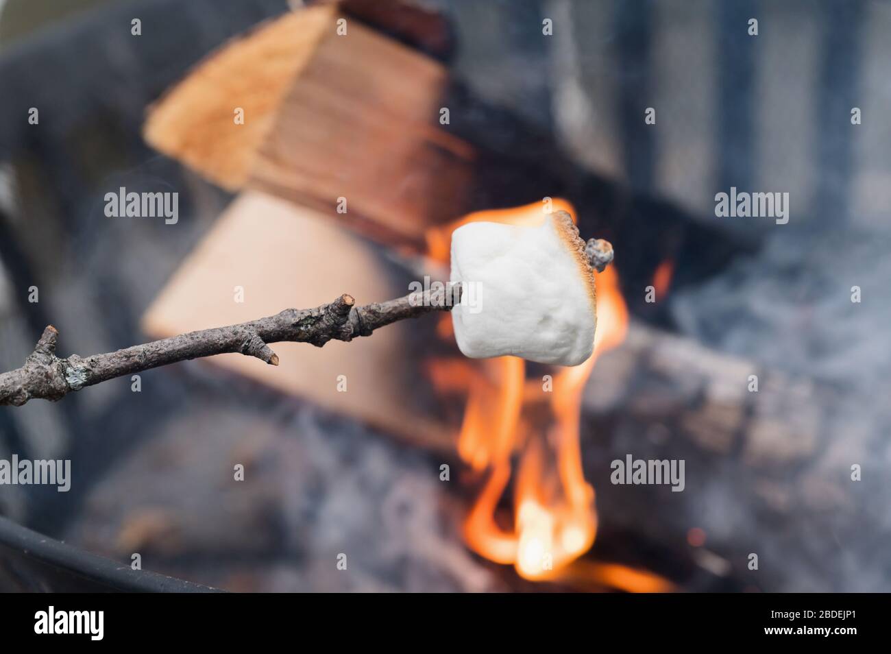 Campfire and marshmallow hi-res stock photography and images - Alamy