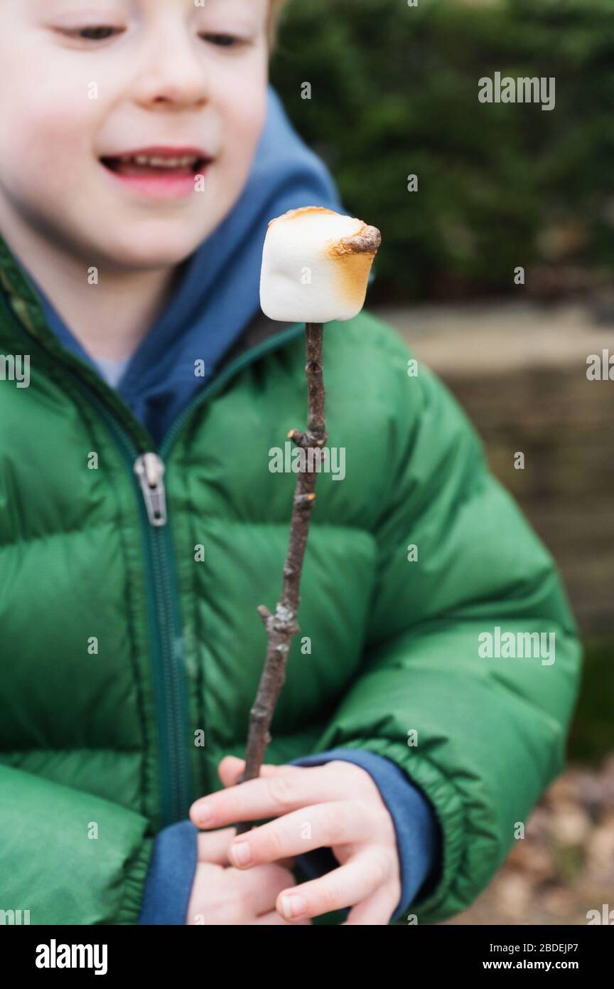 Boy watching roasted marshmallow on stick Stock Photo - Alamy