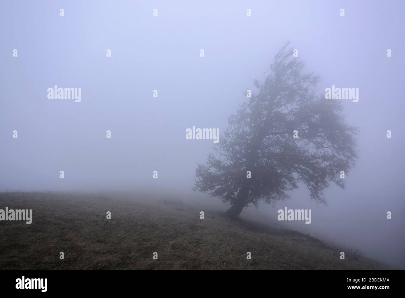 Munchel hi-res stock photography and images - Alamy