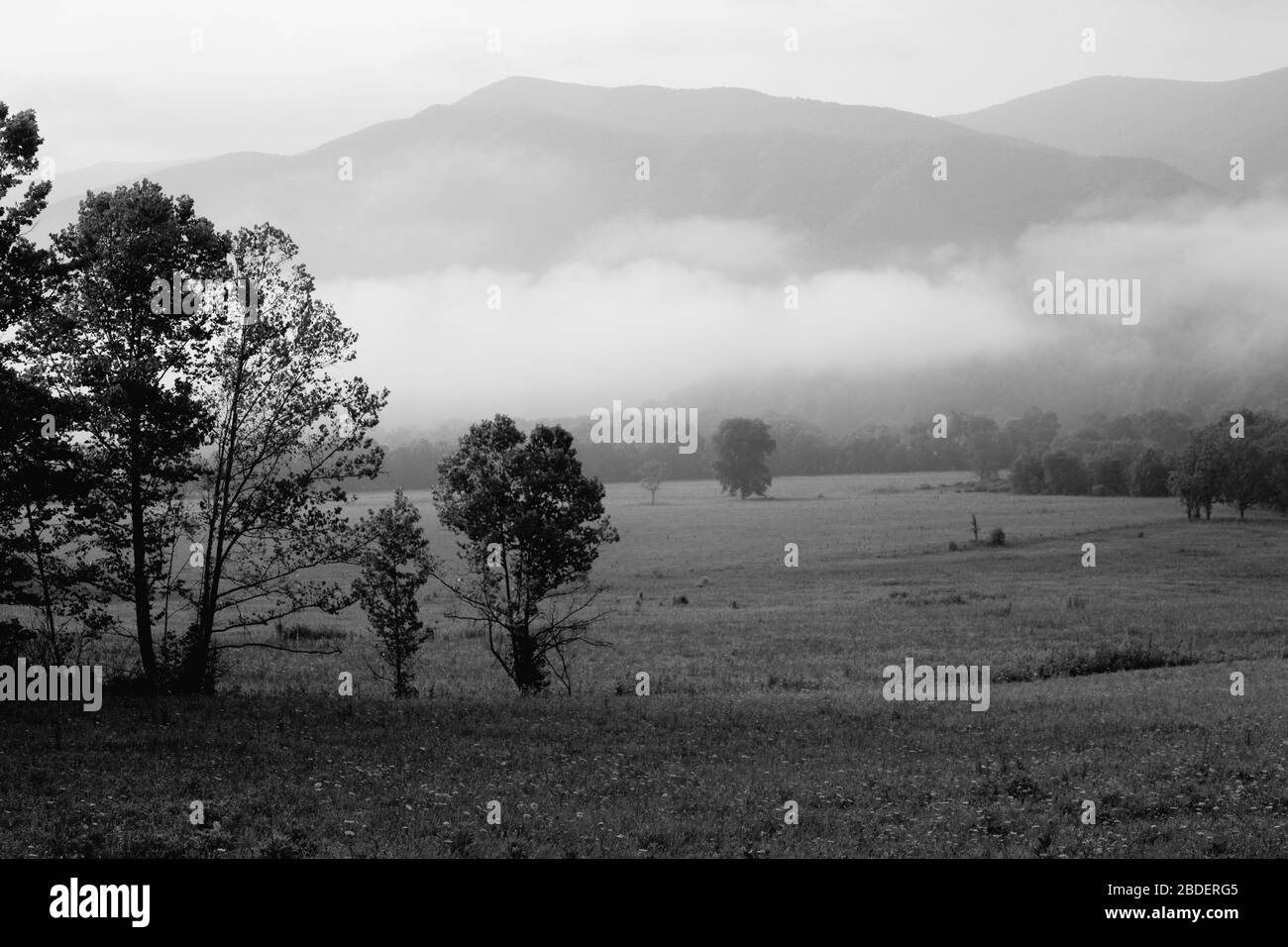 Morning with Fog and mountains Stock Photo - Alamy