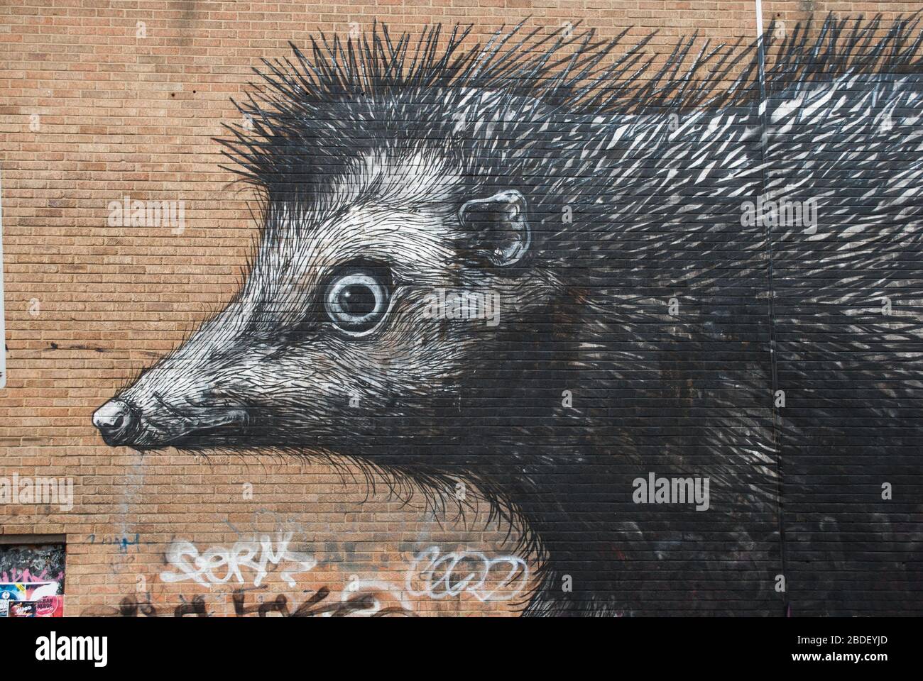 Rat mural hi-res stock photography and images - Alamy