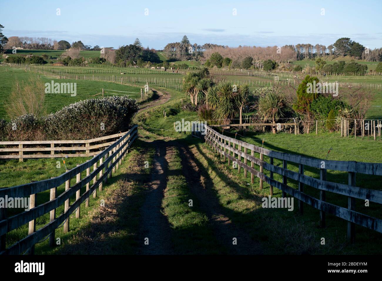 Path across farm land, Sentry Hill, New Plymouth, Taranaki, North ...