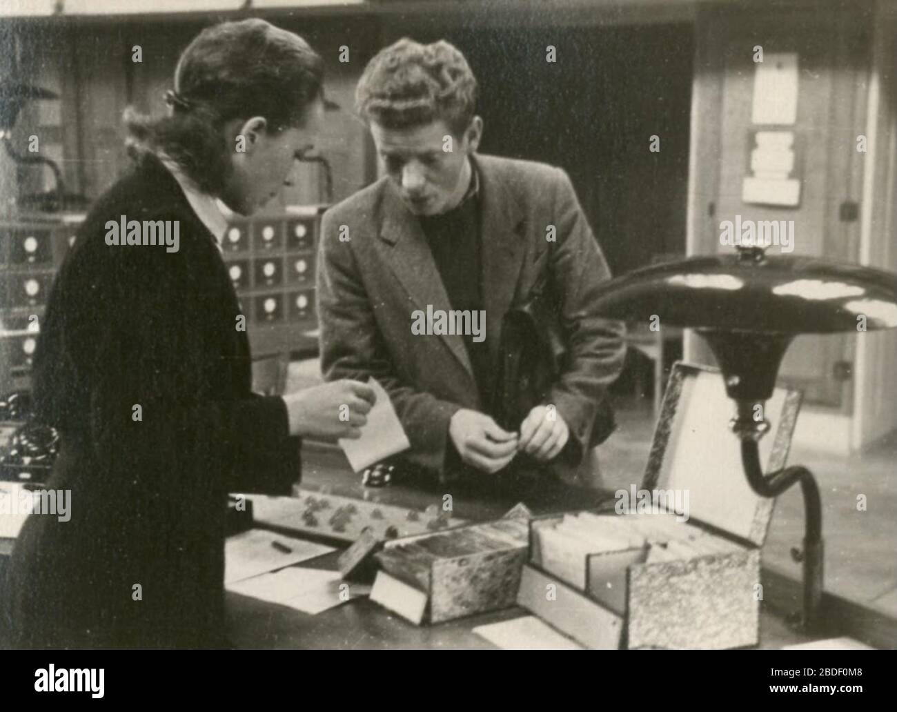 English Librarian High Resolution Stock Photography and Images - Alamy