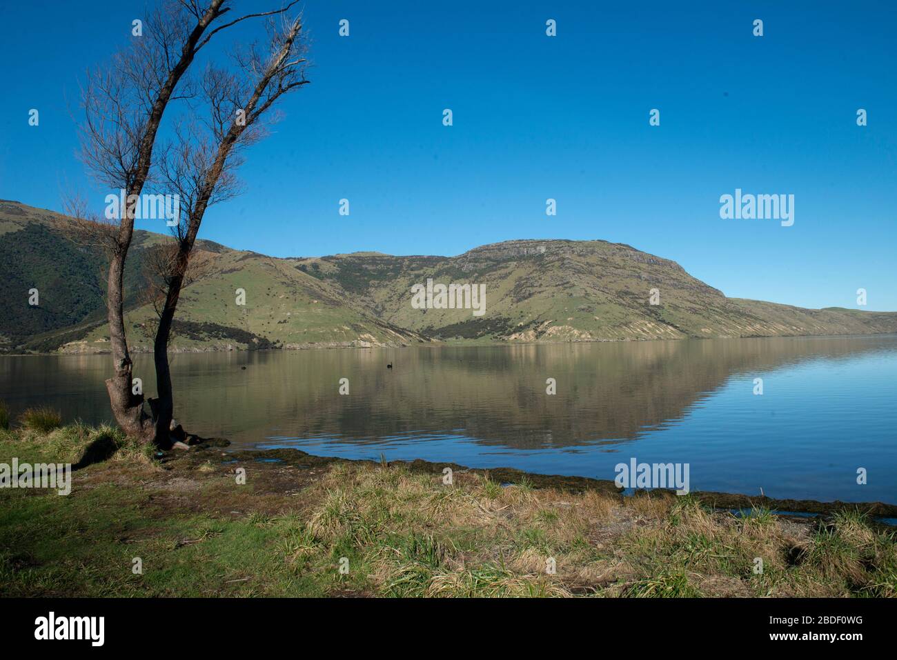 Forsyth island hi-res stock photography and images - Alamy