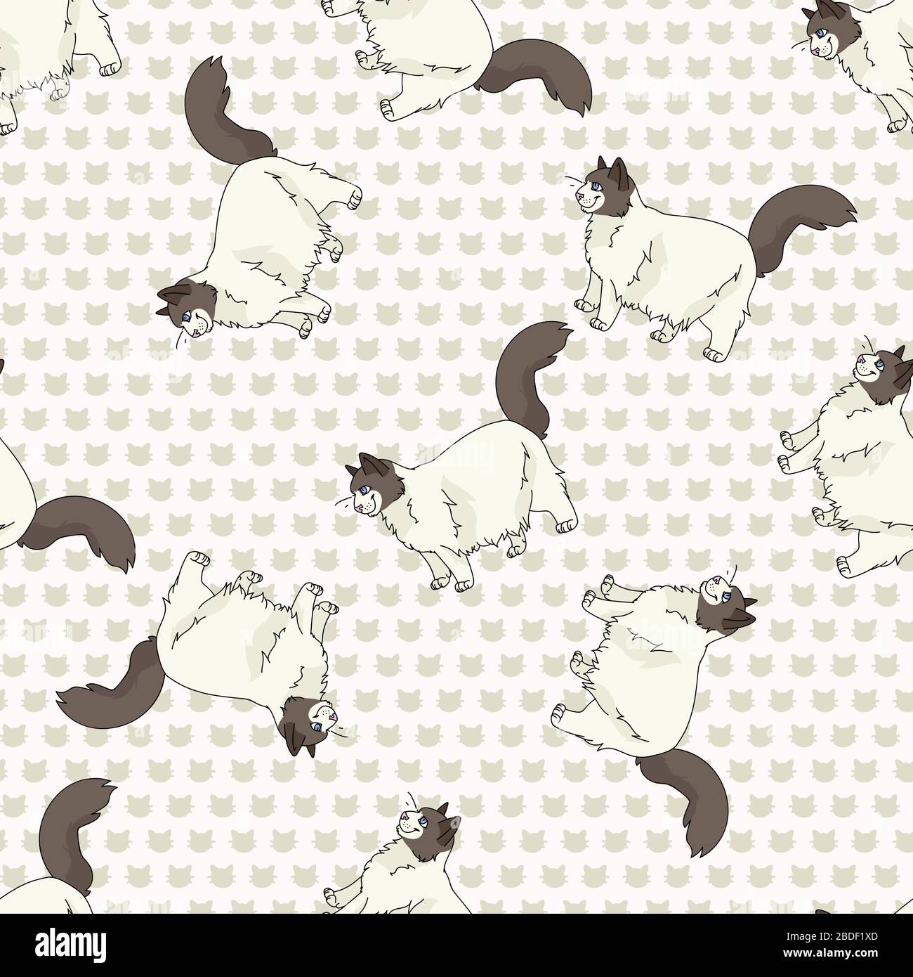 Cute cartoon Ragdoll pet cat seamless vector pattern. Pedigree kitty ...