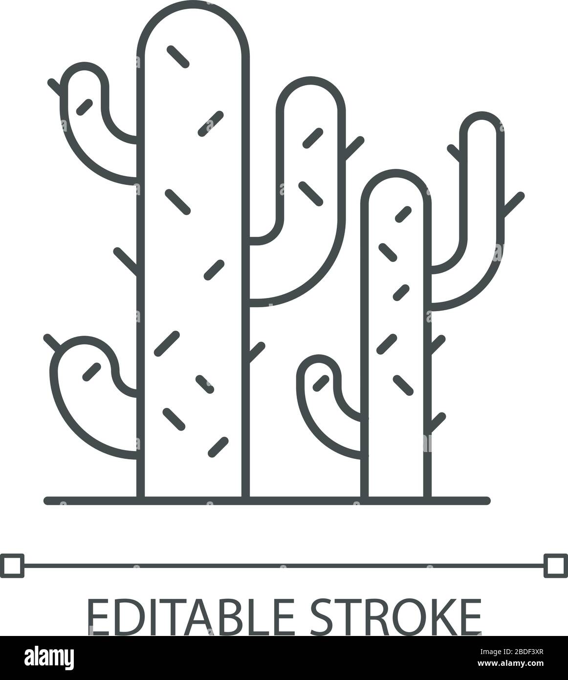 Saguaro Cactus Outline